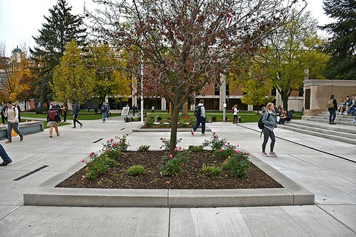 VERTICAL GRANITE CURBING | Williams Stone Co.