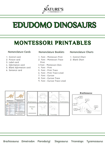 Printable - Montessori Dinosaur Printable – 3-Part Cards & Activities ...