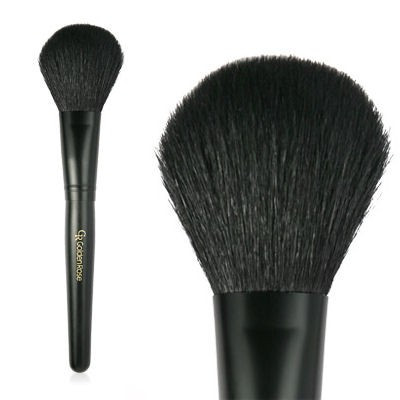 Powder Brush | Golden Rose Uae