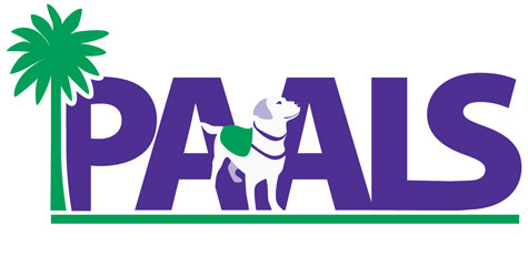 Summer Camp | Paals