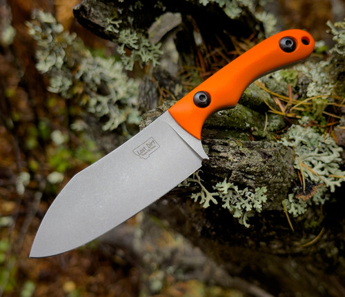 Mini Cicada | LostDirt