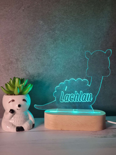 Baby Dino Personalised LED Lights | Little Treasures and Keepsakes