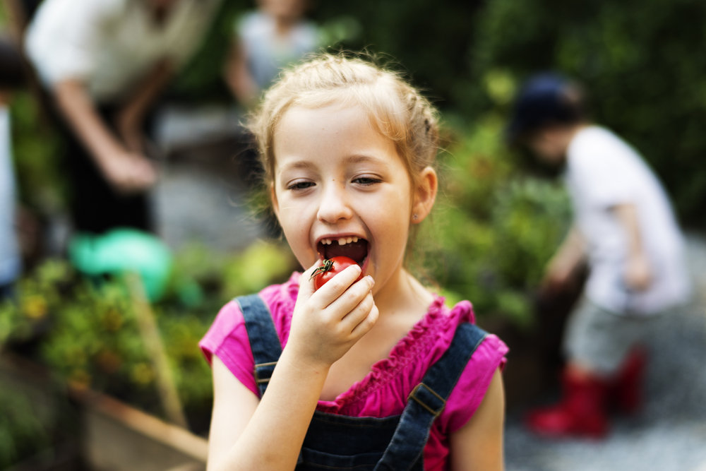 Summer Program Planning for Elementary Students