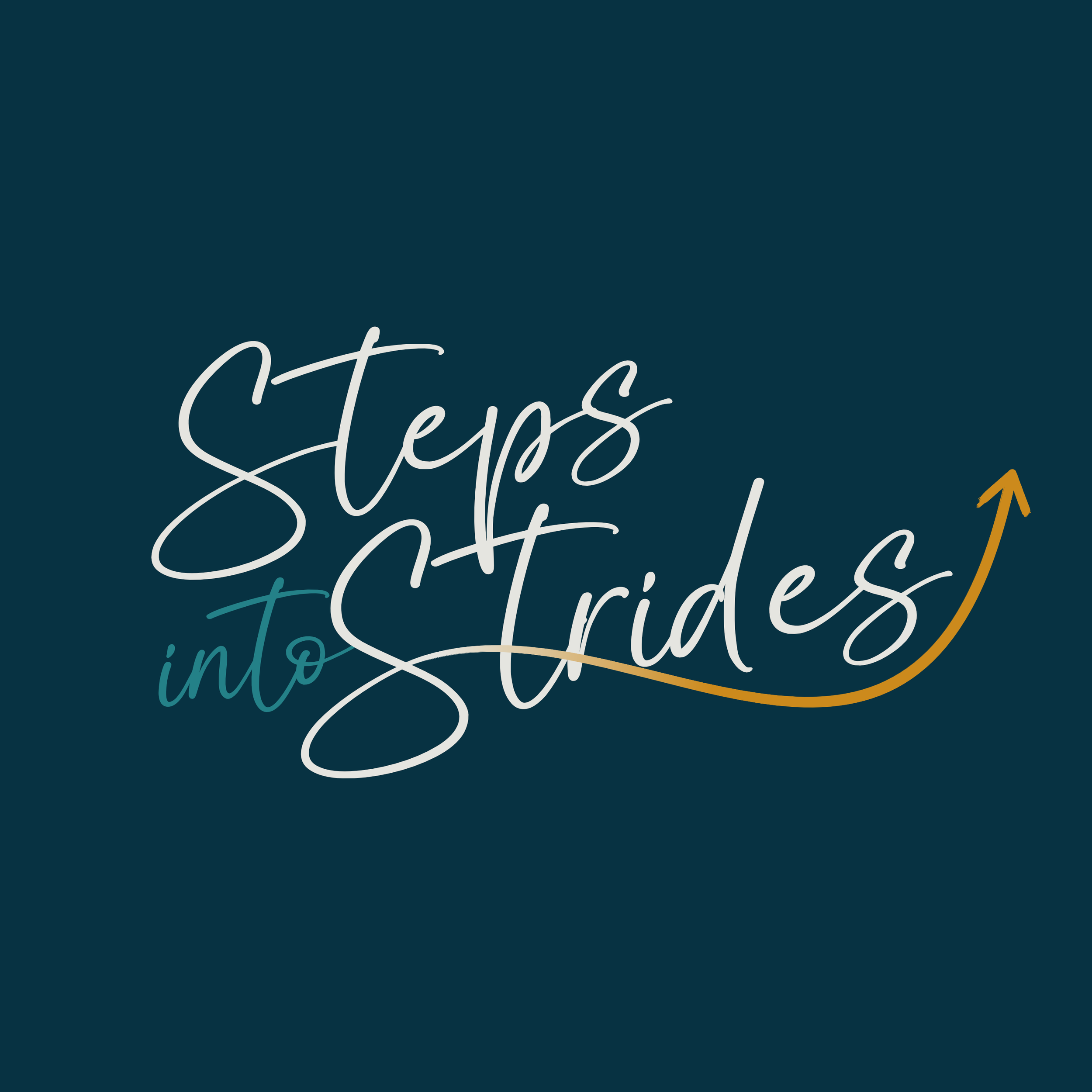 Career and Leadership Coaching | Steps Into Strides