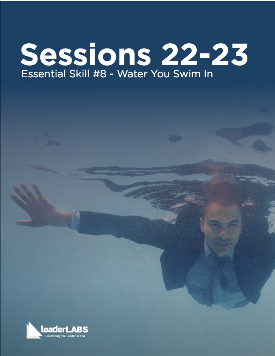 10 Essential Skills | leaderlabs