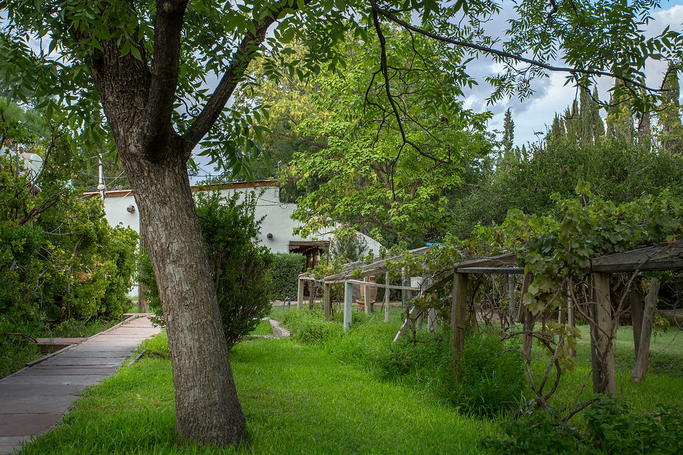 VIEWS AT SONIC RANCH | Sonic Ranch