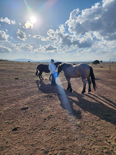 ABOUT THE RANCH | Shippy's Ranch