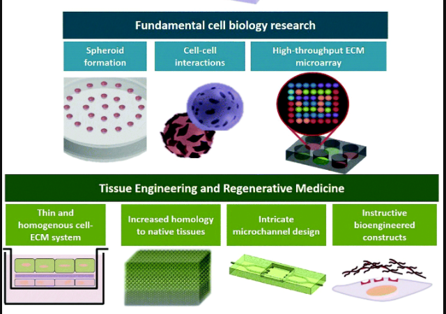 New Paper Accepted into Biomaterials Science