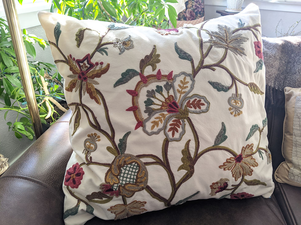 Pottery Barn Euro Pillow