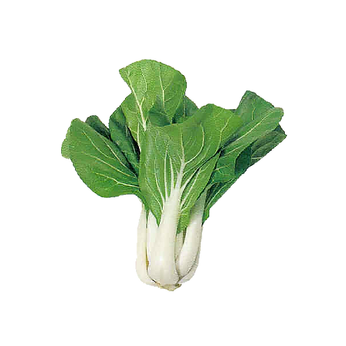 Organic Petchay Tagalog per Kilo | Main