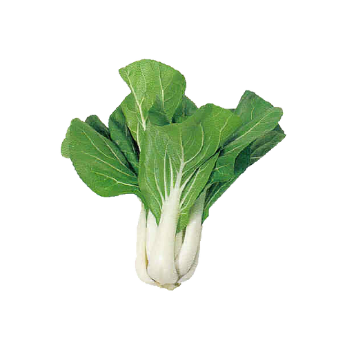 Organic Petchay Tagalog per Kilo | Main