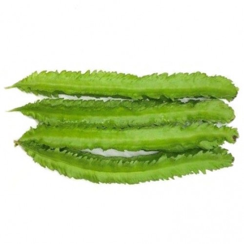 Organic Winged Bean / Sigarilyas per Kilo | Linden Teak Furniture ...