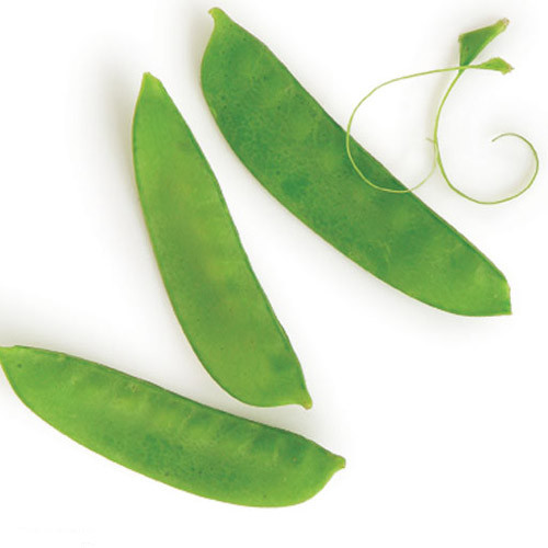 Organic Snow Pea / Chicharo per Kilo | Linden Teak Furniture Philippines