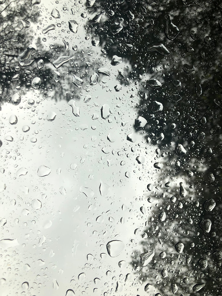 Dreary weather dampening your mood?