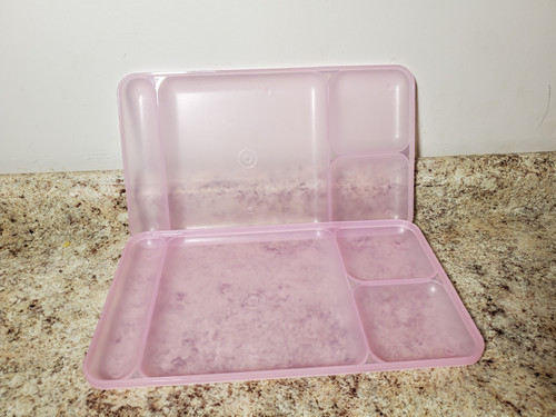 New Tupperware Divided Lunch Camping Picnic Trays Set of 2 #1535 ...