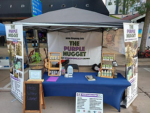CBD hydroponically grown in Maribel Wisconsin | The Purple Nugget | Maribel