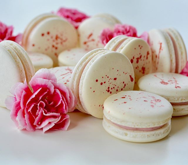 Carousel Macarons | Customer Reviews | Atlanta Georgia