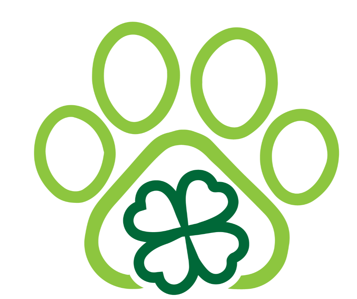 Lucky Paws Dog Training