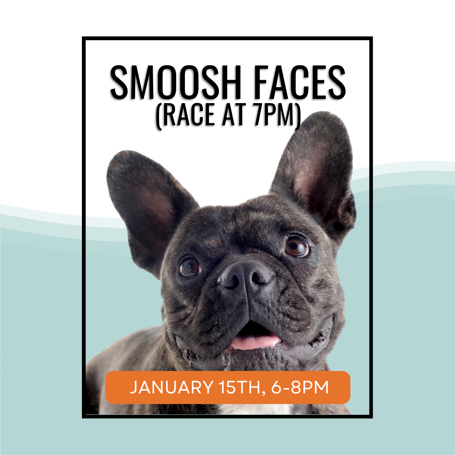 Smoosh Face Night and Race! | Brew Park Plymouth