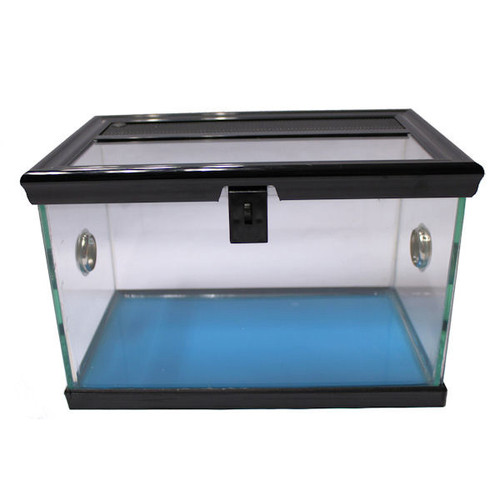 Betta Terra Spider Tank 30x18x20cm | Perry's Reptile Centre | UK ...