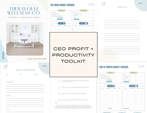 CEO Profit+ Productivity Toolkit | TheraVolve Wellness