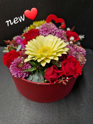 Box red colour | rivieraflor