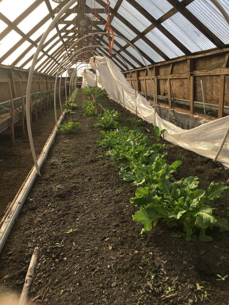 Science Experiments and Farming