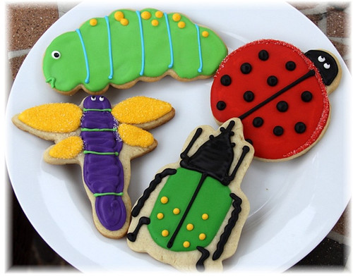 Bug cookies | Sunflower Baking
