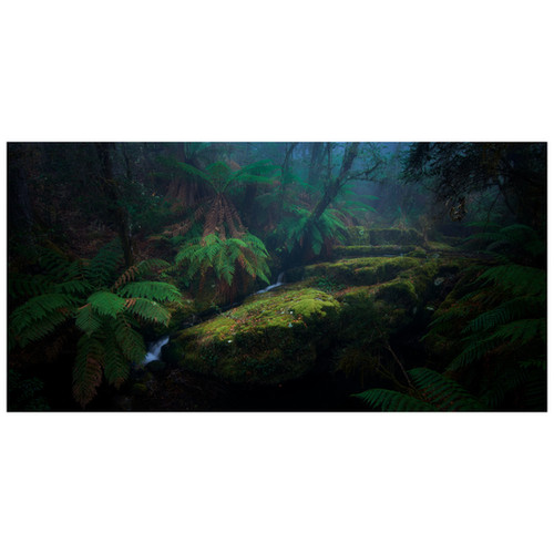 Greg West Gallery - Image 29 | Lion Studios
