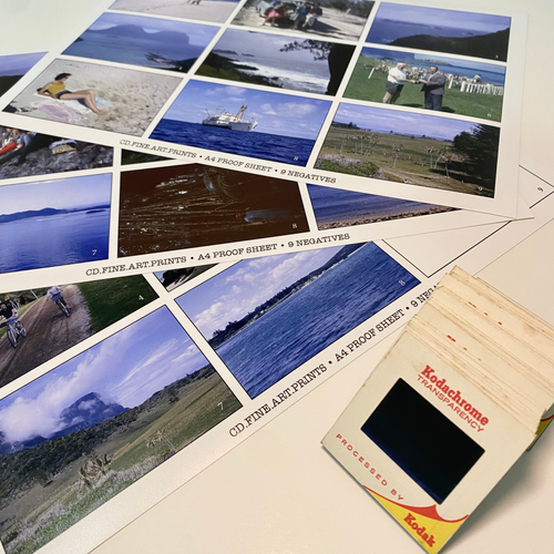 CD Slides and Negative Scanning | Lion Studios