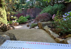 Home | Destiny Card System