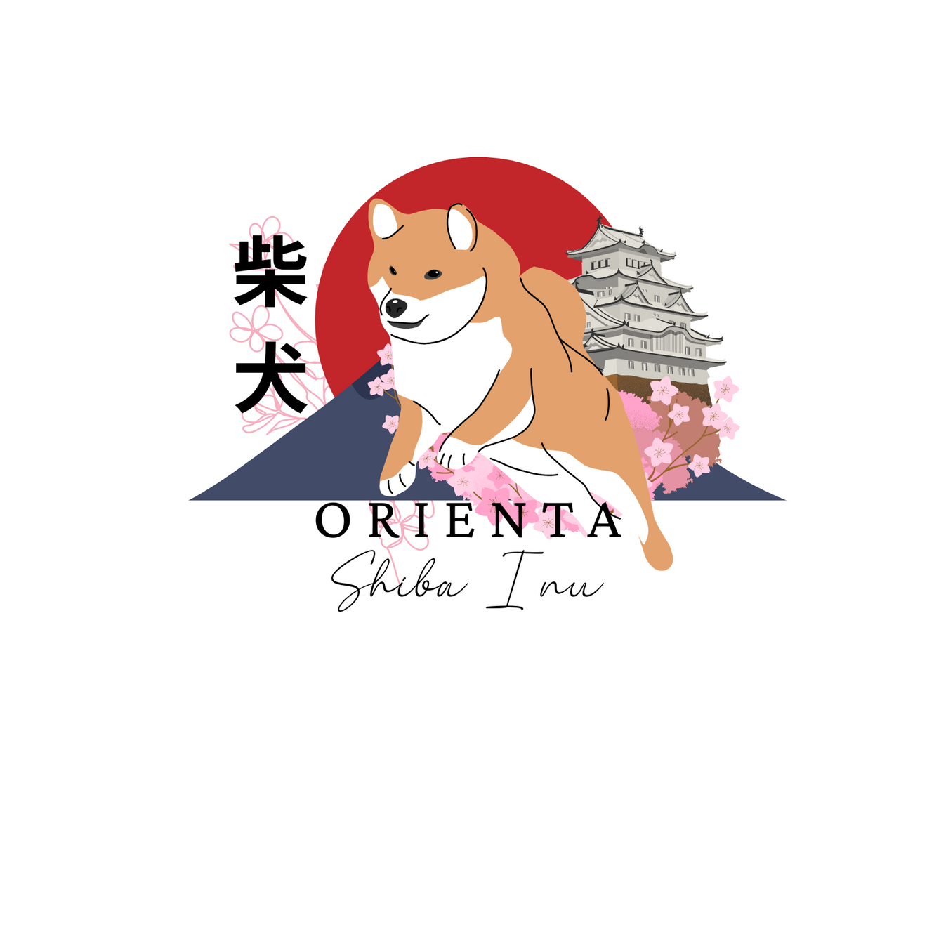 Purchasing a Shiba Inu Puppy – Australia-Wide | Orienta Shiba Inu