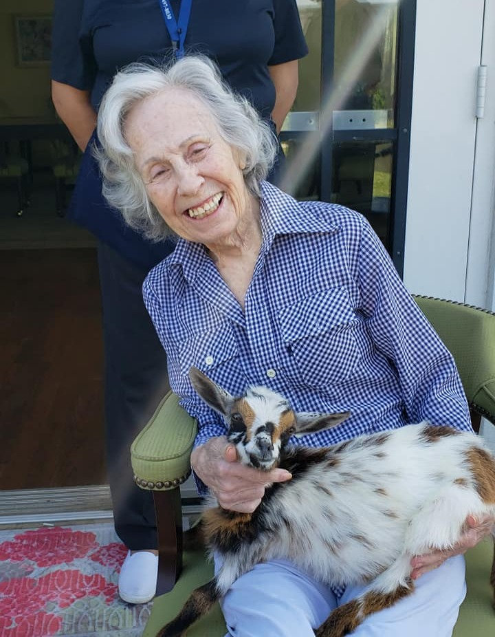 Goats LOVE visiting retirement communities!!!