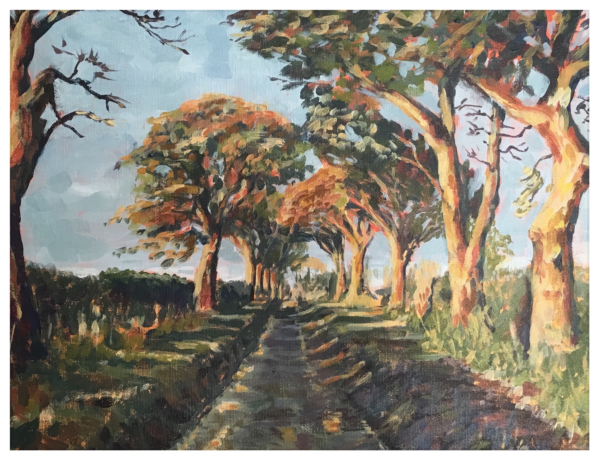 Kate Gabriel Artist Norfolk Broads Art Pet Portraits Animals Wildlife