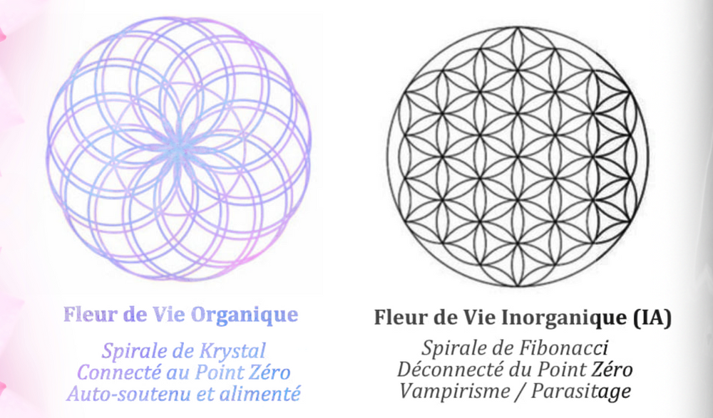 Fleur de Vie Organique vs. fleur de vie inorganique (IA), la vraie et ...