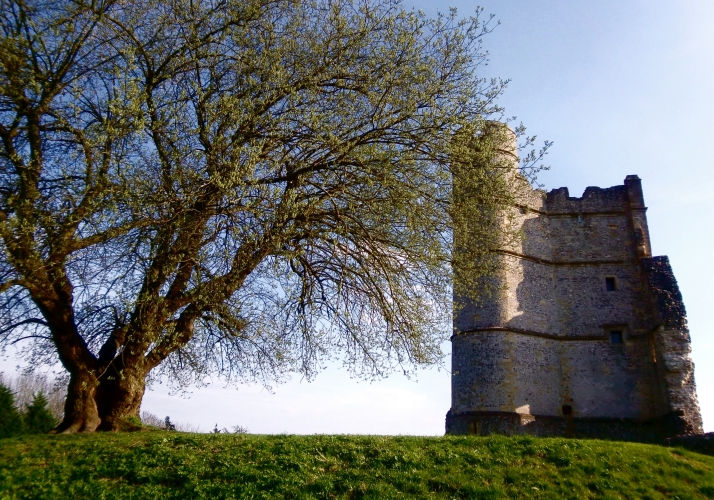 Dule Trees - A Place You Didn't Want To Hang Out