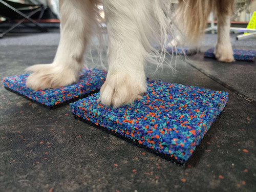 HDT square flat rubber platforms | Hybrid Dog Training