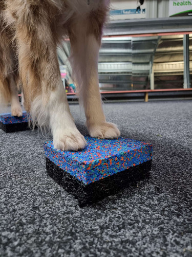 HDT rubber platforms medium square | Hybrid Dog Training