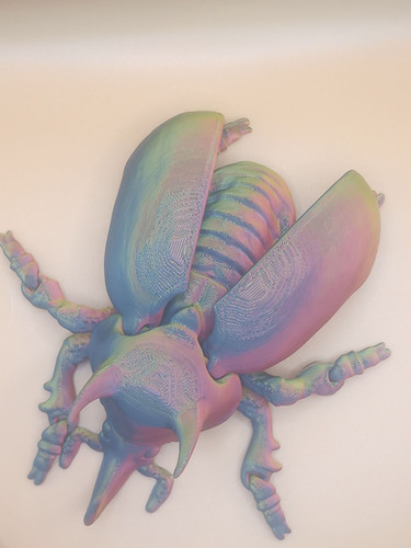 3D-Printed Hercules Articulated Beetle | ClawaBear