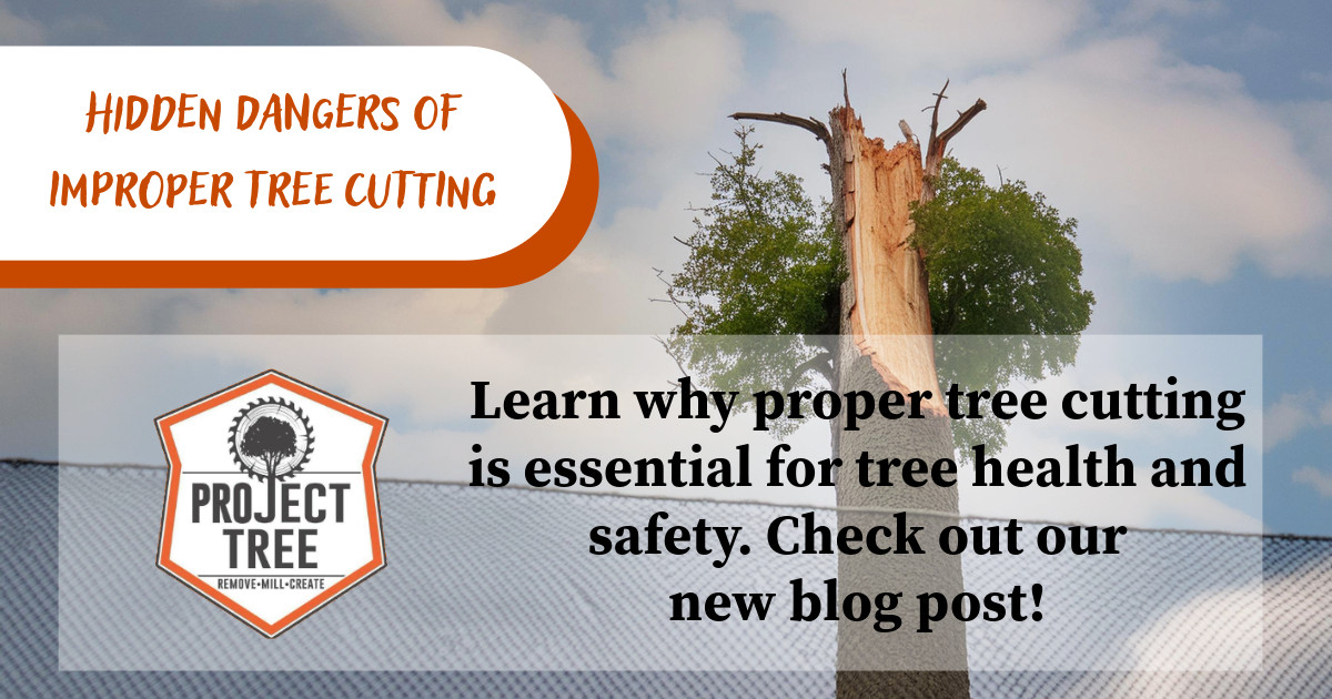 Understanding the Consequences of Improper Tree Cutting Practices