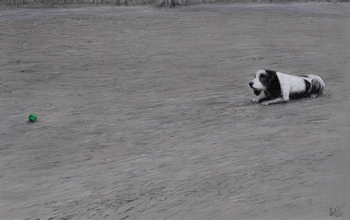 Animal Series : Fetch | Mark Maier