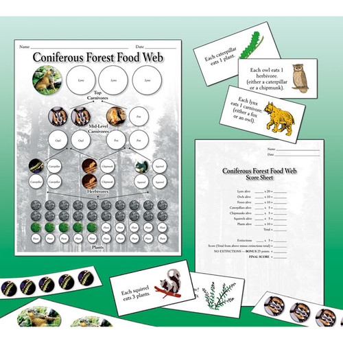 Food Web Collapse Game | Carolina Singapore