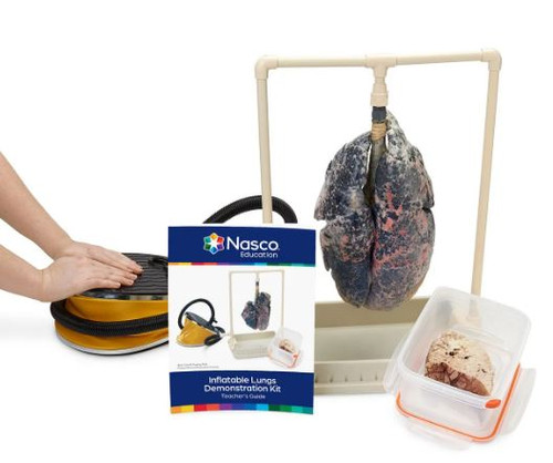 Smoker's Lungs Demonstration Kit | Carolina Singapore