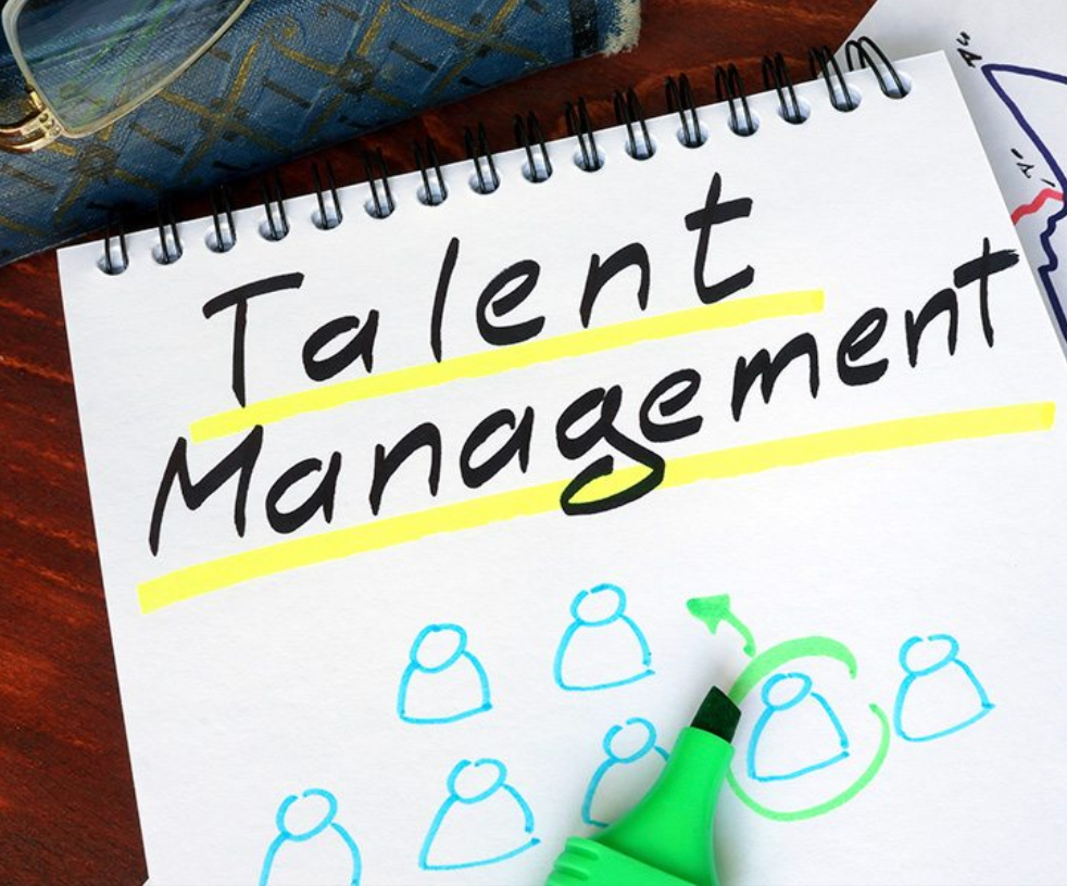 What A Practical Approach to Talent Management Should Look Like