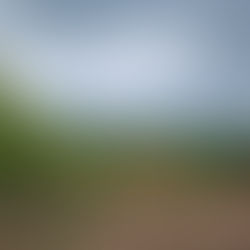 Grand Prairie Friends East-Central Illinois