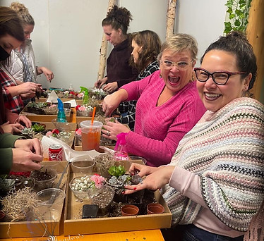 Garden | Pixie Moss Meadows | Corning