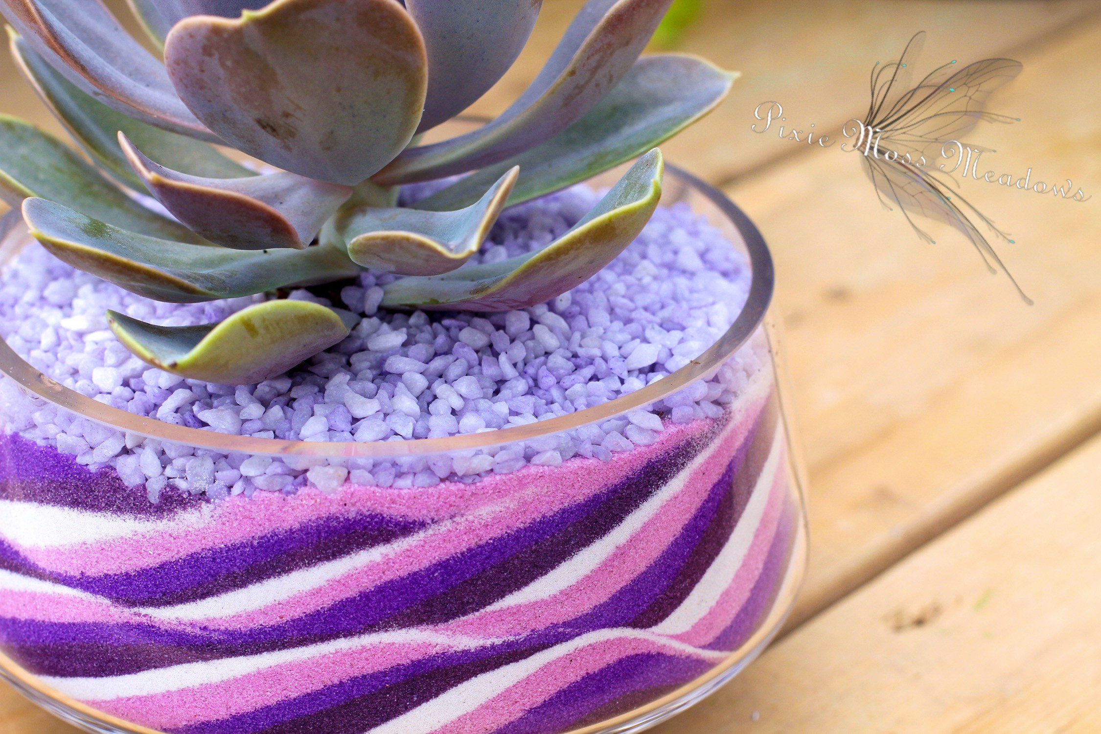 Sip and Succulent Workshop | Pixie Moss Meadows