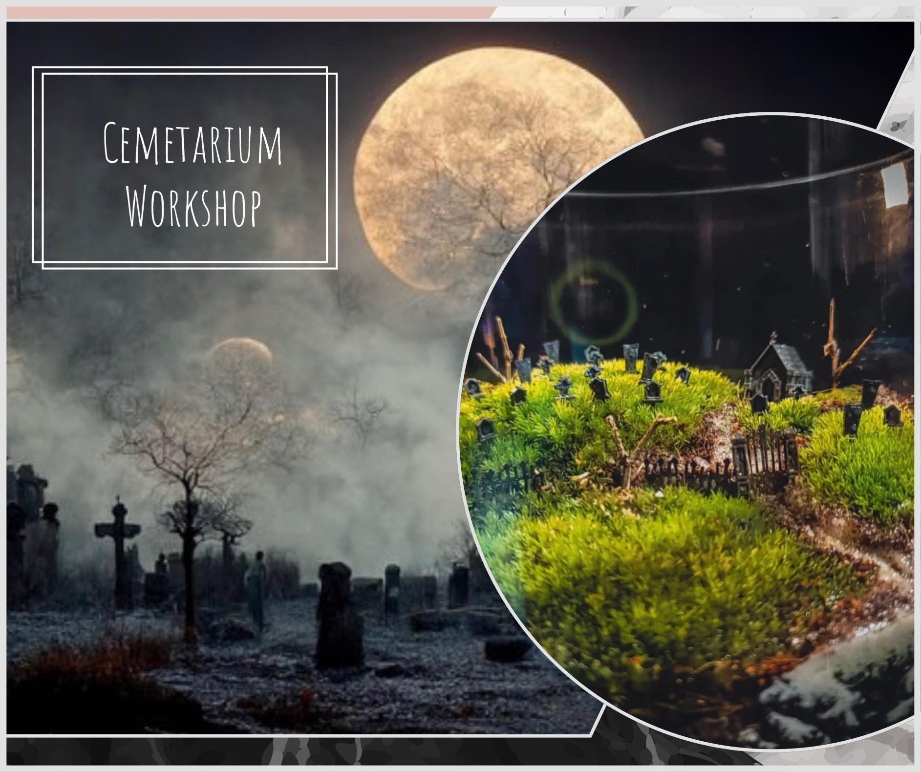 Cemetarium Workshop | Pixie Moss Meadows