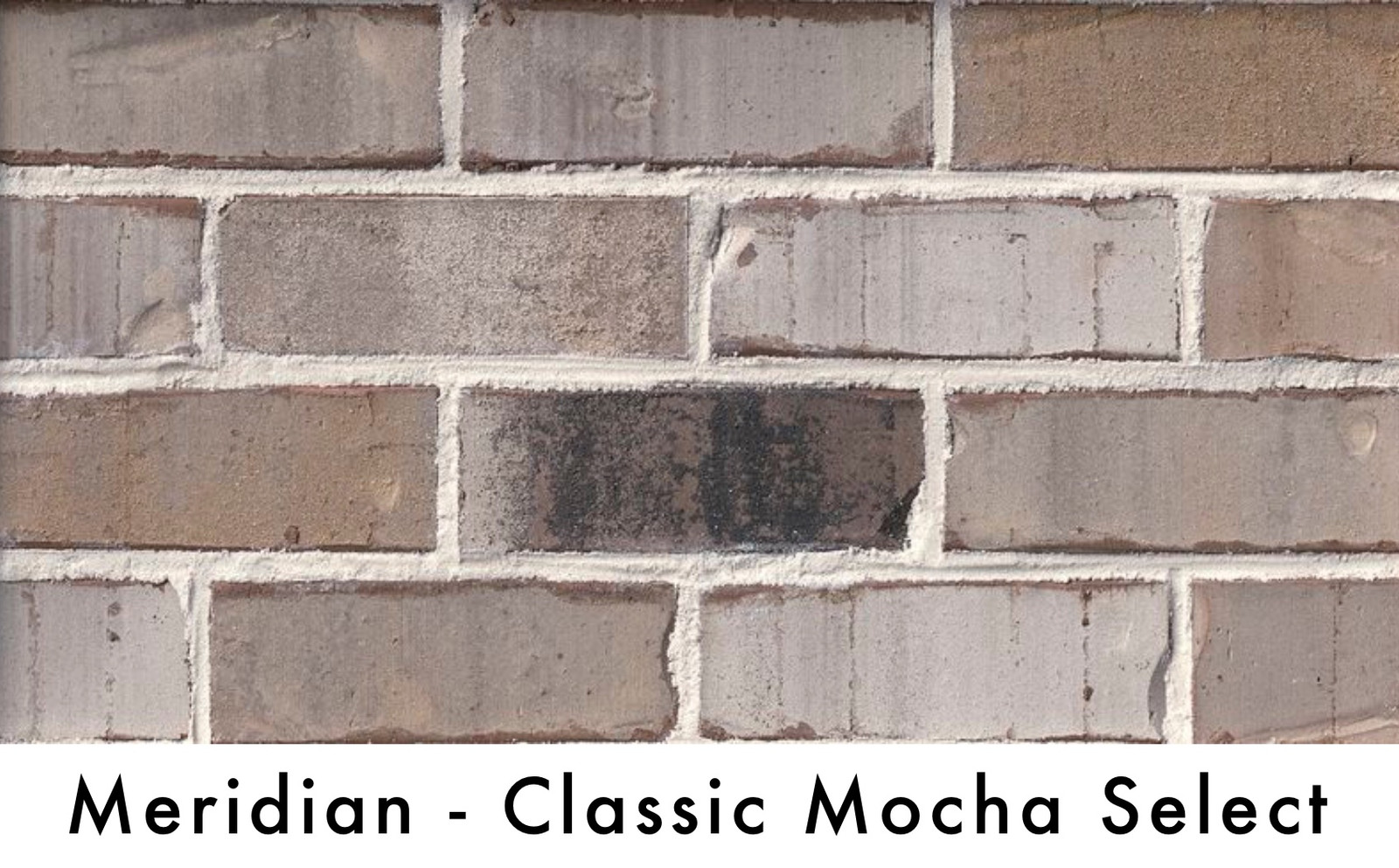 Meridian Brick - Classic Mocha Select