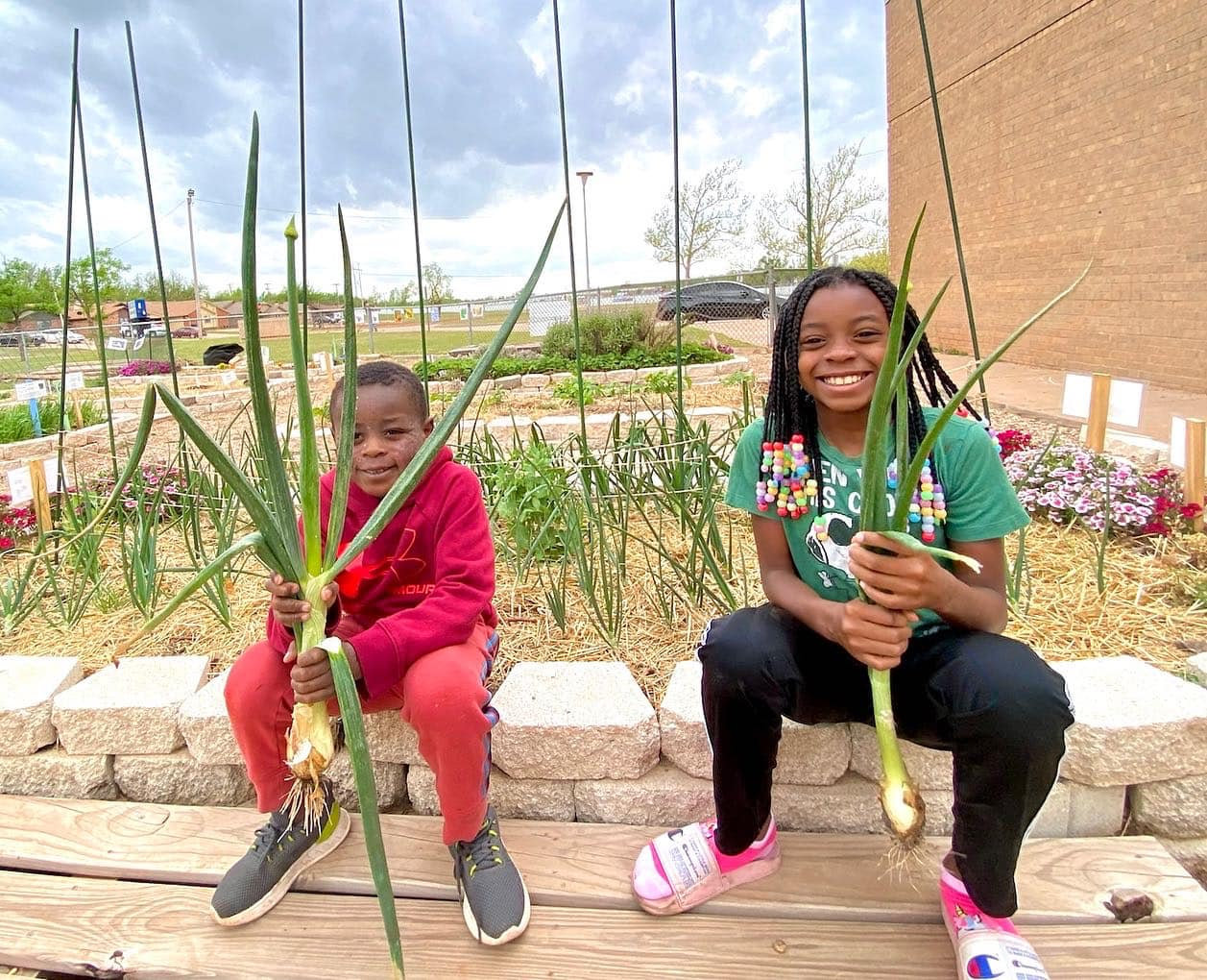 Kitchen Scrap Gardening | OKC Beautiful